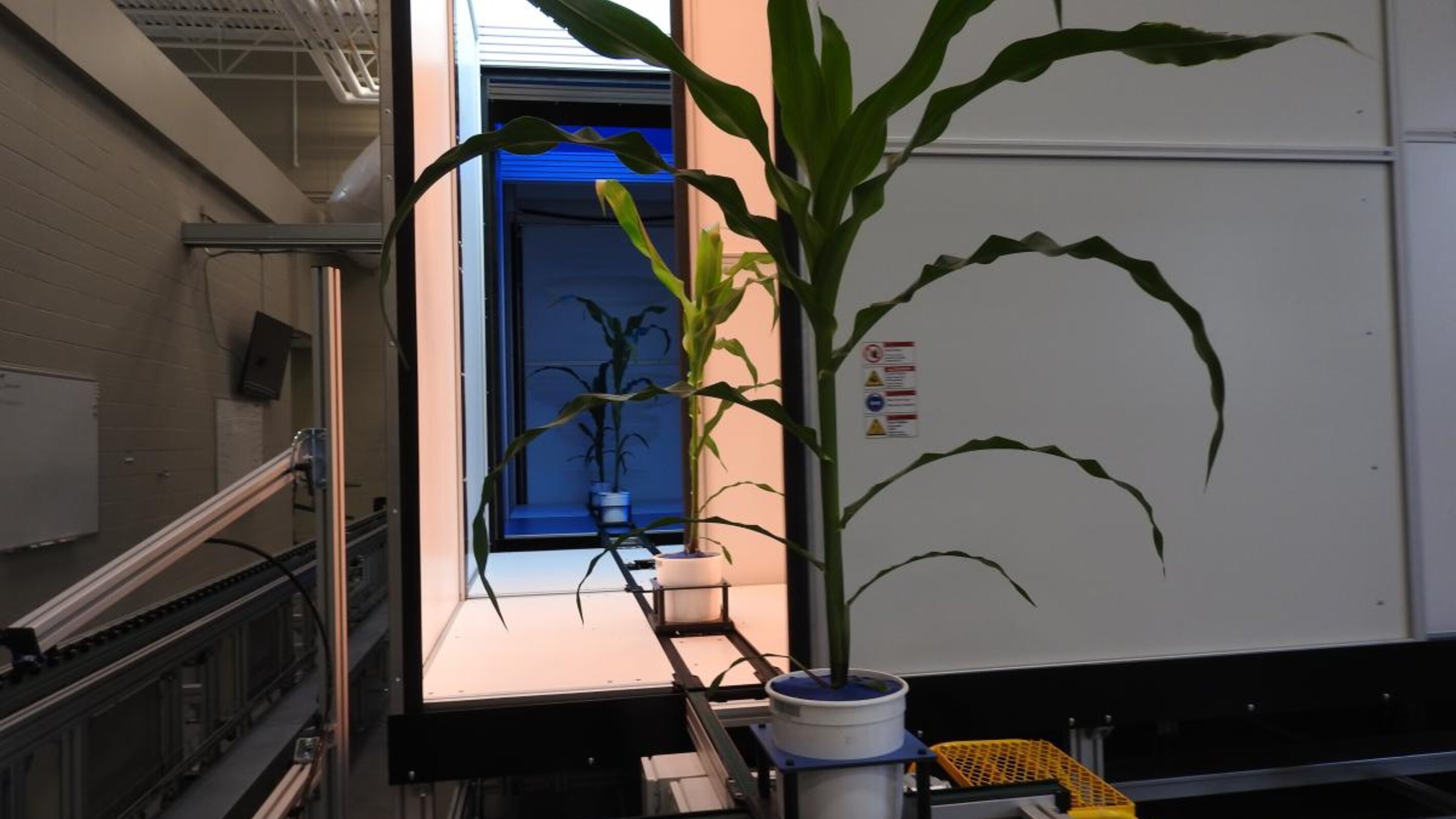 Plant Vision Initiative | Nebraska