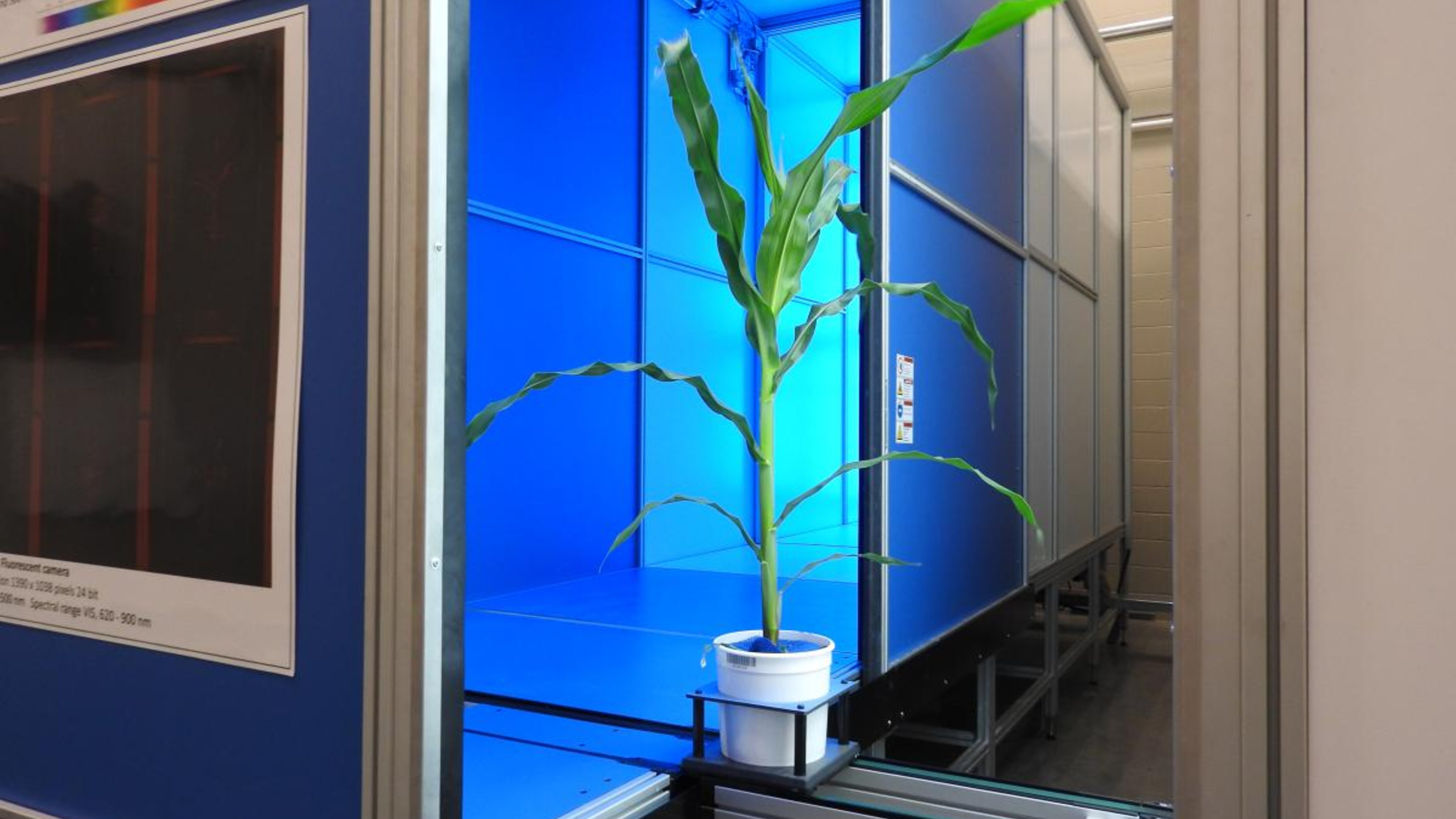 Plant Vision Initiative | Nebraska