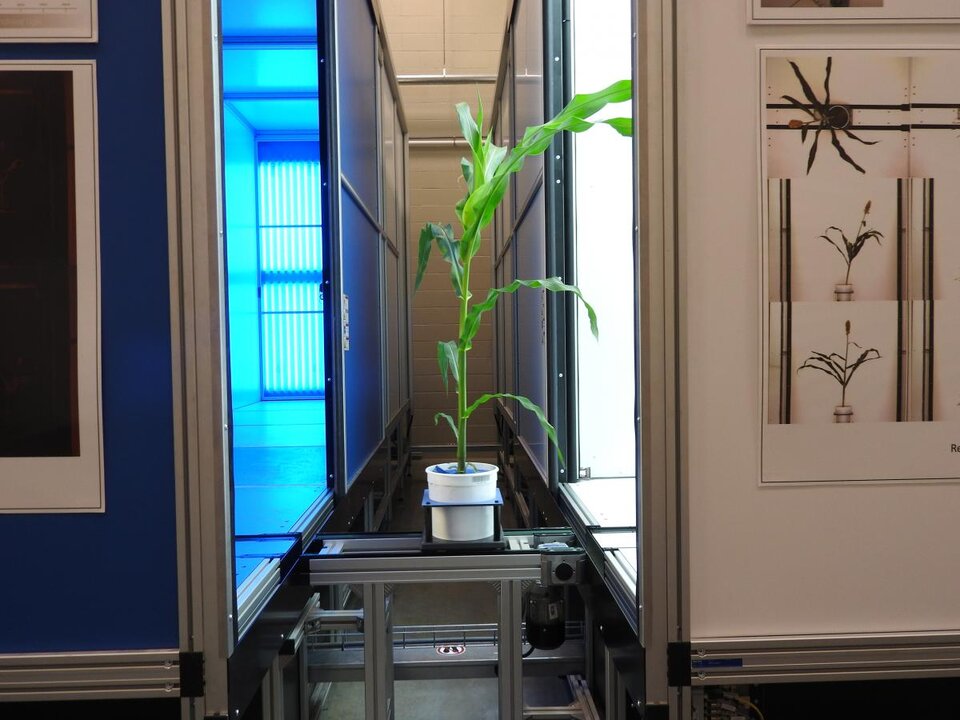 Plant Vision Initiative | Nebraska